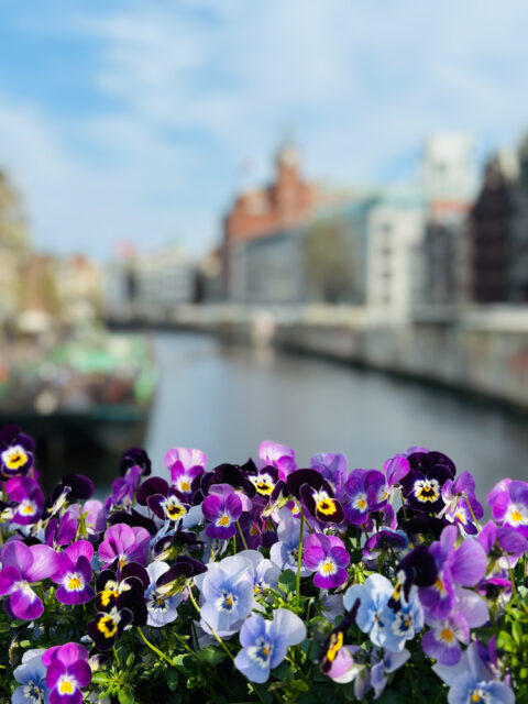 Major Rivers in Europe: Your Ultimate River Cruising Guide